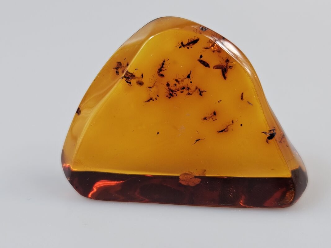 Amber with insects incusions in amber - amberlithuania.com