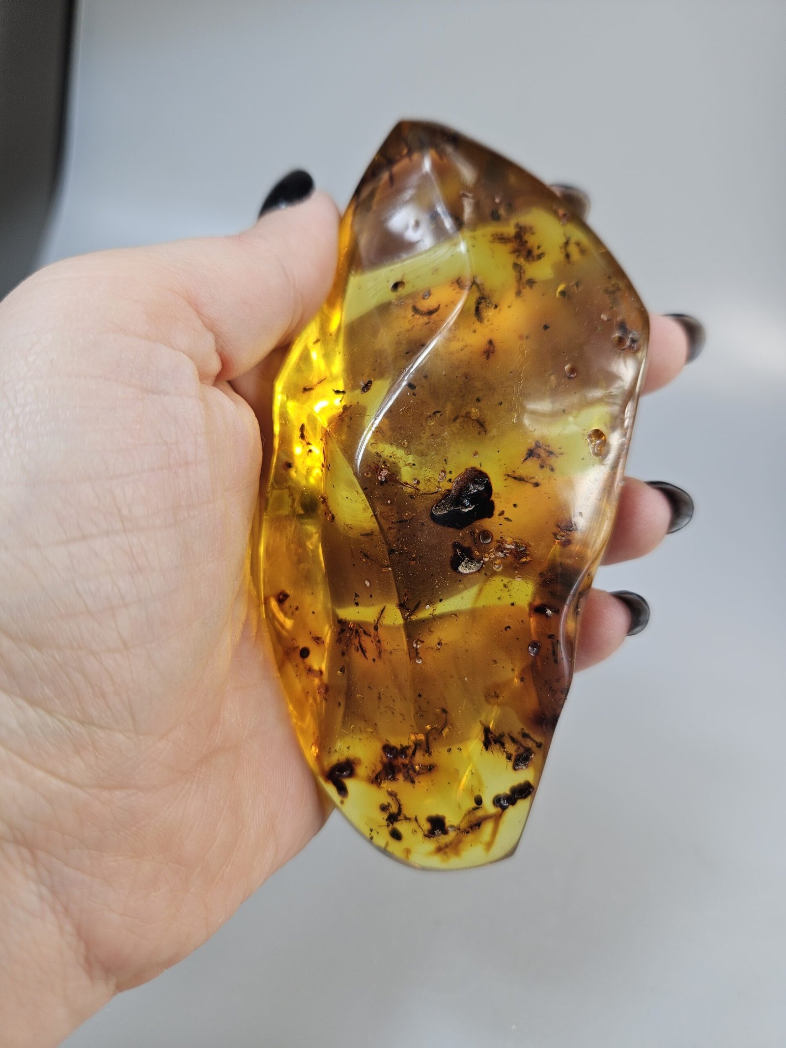 Amber with many rare insects bernstein einschlusse - amberlithuania.com